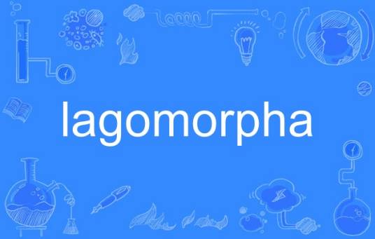 lagomorpha（英语单词）_百度百科