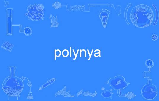 polynya_百度百科