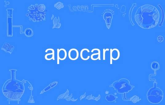 apocarp_百度百科