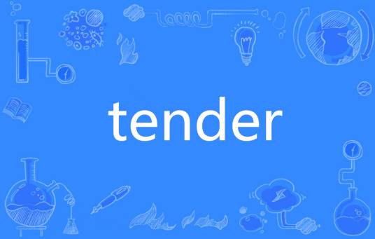 tender（英语单词）_百度百科