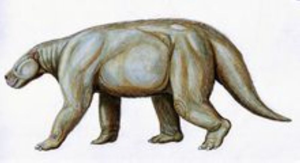 古有蹄类_百度百科