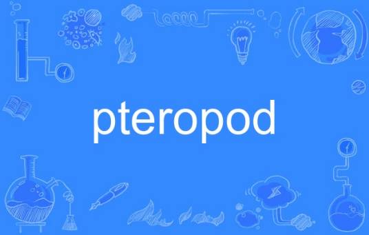 pteropod_百度百科
