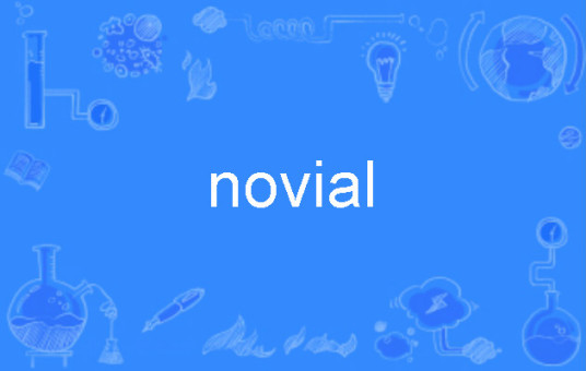 novial_百度百科