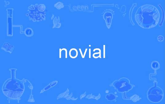 novial_百度百科