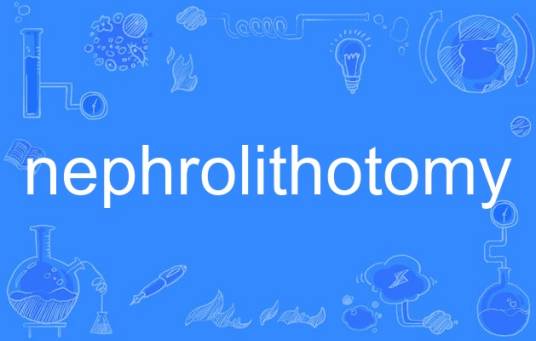 nephrolithotomy_百度百科