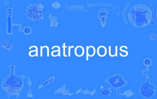 anatropous_百度百科