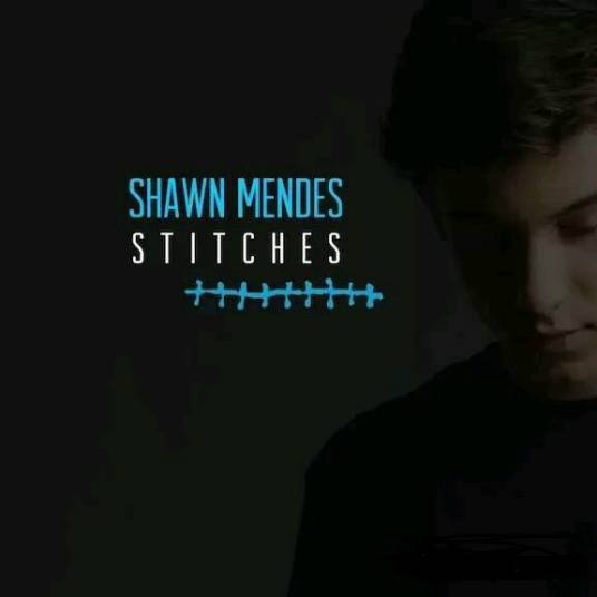 Stitches（Shawn Mendes演唱歌曲）_百度百科