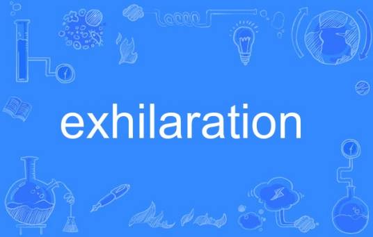 exhilaration_百度百科