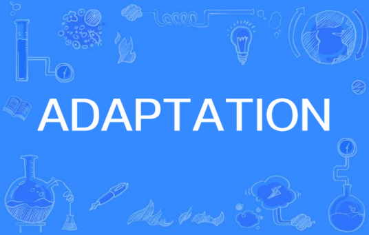 ADAPTATION_百度百科