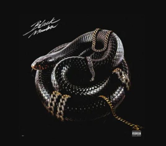 黑曼巴（BrAnTB白景屹演唱的单曲）_百度百科