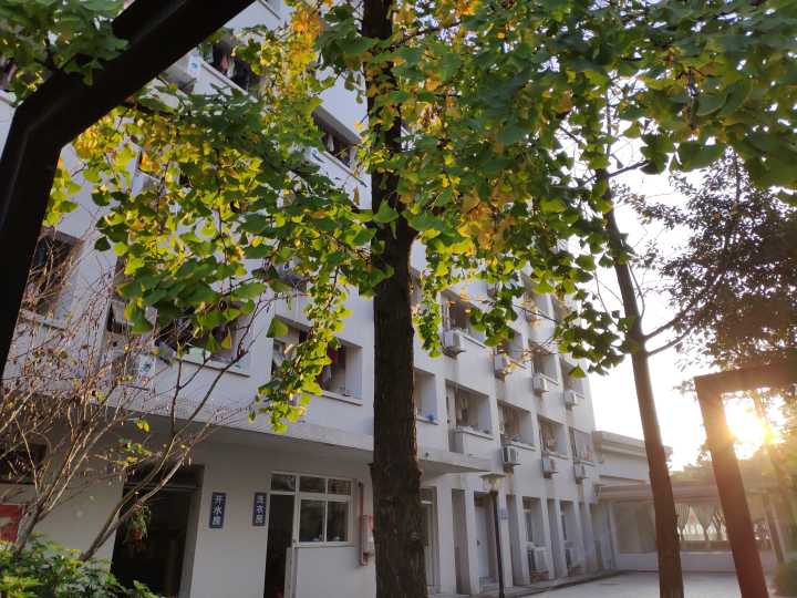 真实体验后告诉你答案：坚果pro2s和小米8se谁更胜一筹？_百科TA说