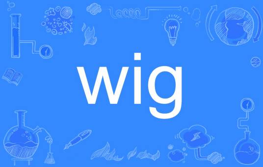 wig_百度百科