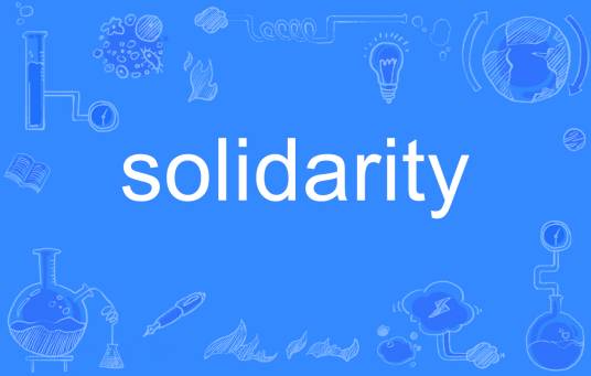 solidarity（英语单词）_百度百科