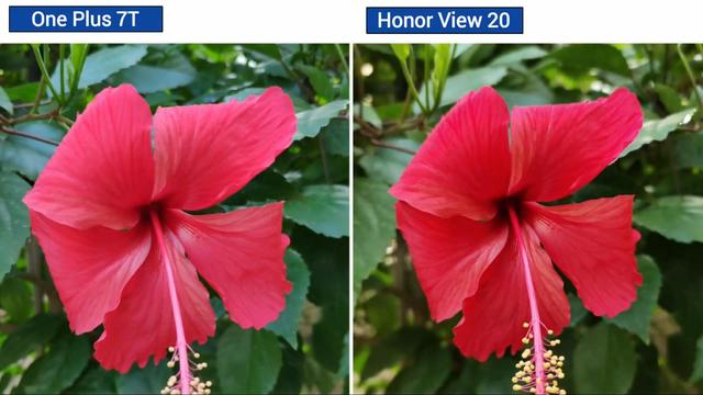 一加7T和荣耀V20拍照对比 评论区又被攻占了_百科TA说