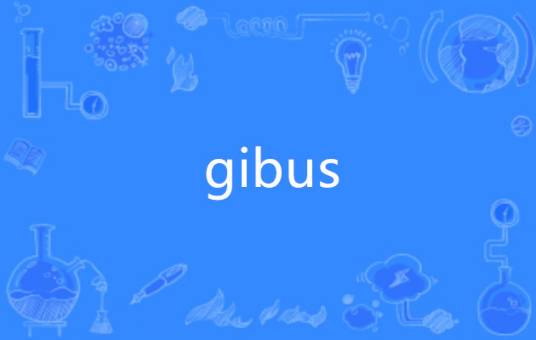 gibus_百度百科