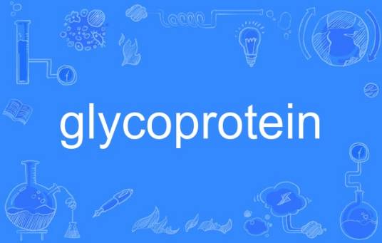glycoprotein（英语单词）_百度百科