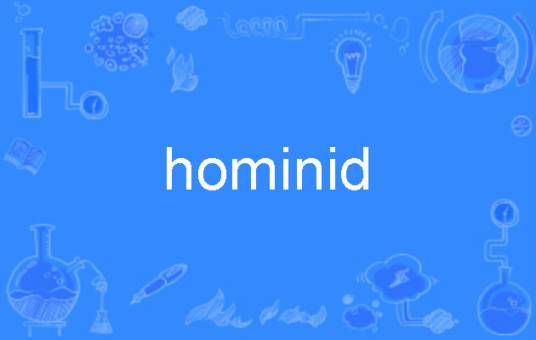 hominid_百度百科