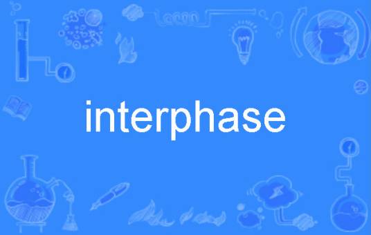 interphase_百度百科
