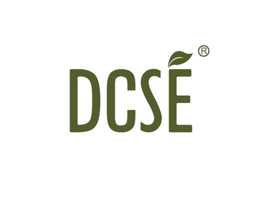 DCSE_百度百科