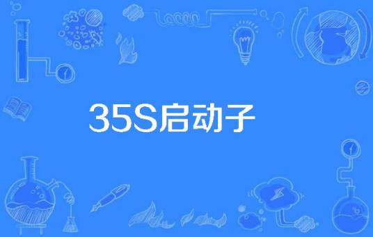 35S启动子_百度百科