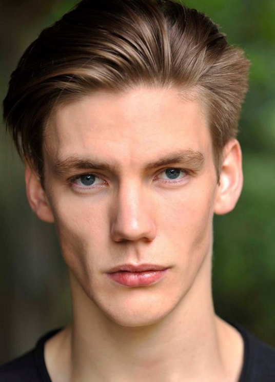 Robert Wilde_百度百科