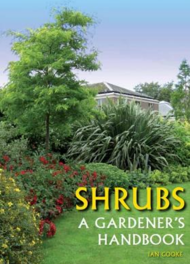 Shrubs_百度百科