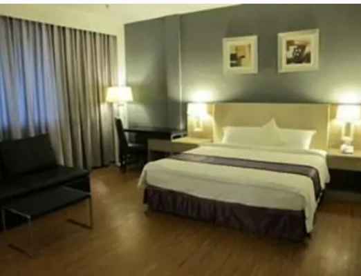 巴达特酒店_百度百科