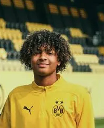 马蒂斯·阿尔贝特_百度百科