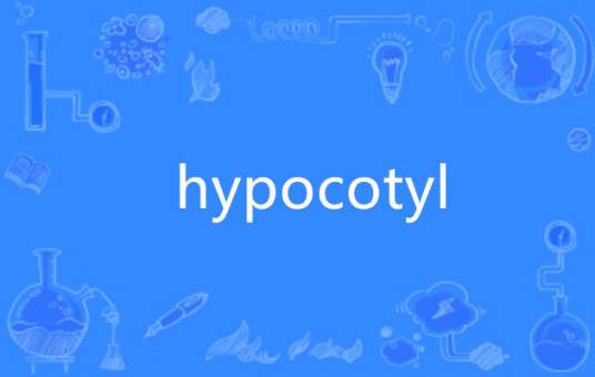 hypocotyl_百度百科
