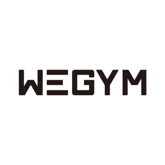 WEGYM（美国运动品牌）_百度百科