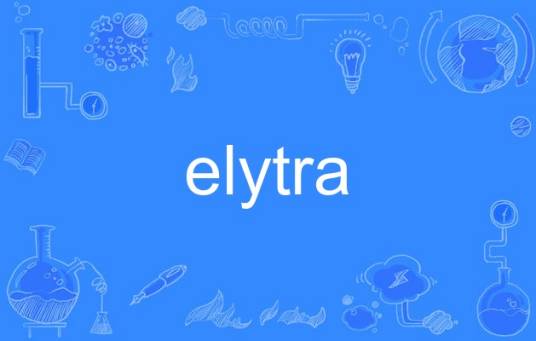 elytra_百度百科