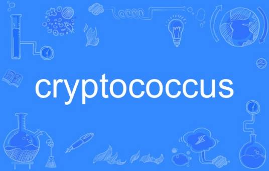 cryptococcus_百度百科