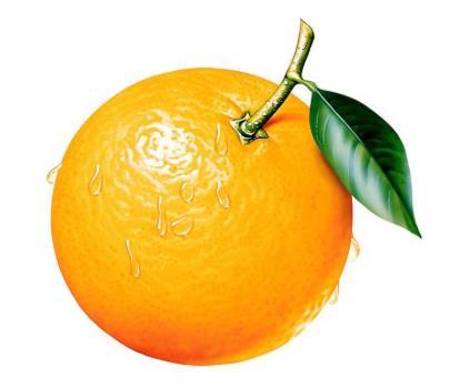 orange（英文单词）_百度百科