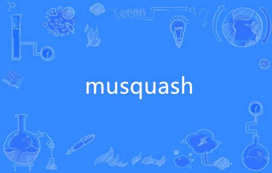musquash_百度百科