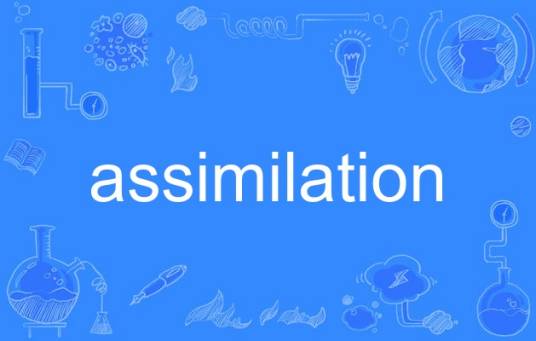 assimilation（英语单词）_百度百科