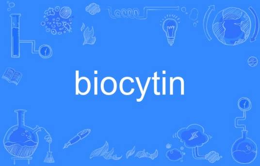 biocytin_百度百科
