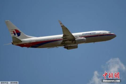 MH17_百度百科