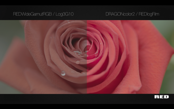 R3D、Resolution、REDCODE，这三个 “R” 你需要了解一下_百科TA说