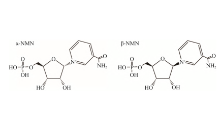 NMN_百度百科