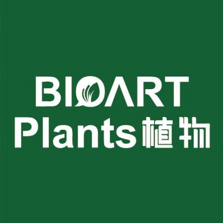 BioArt_百度百科