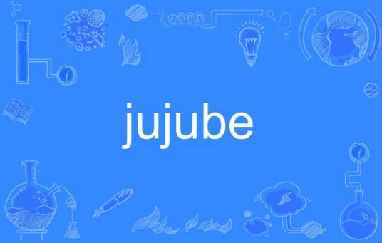 jujube_百度百科