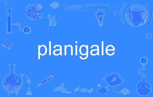 planigale_百度百科