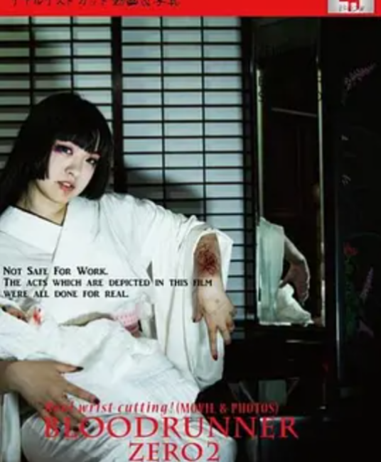 Bloodrunner Zero 2_百度百科