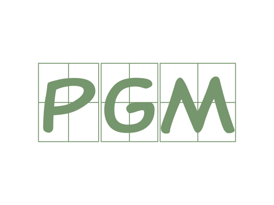 PGM（API库）_百度百科