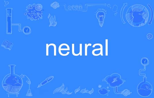 neural_百度百科