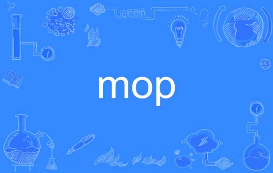 mop（英文单词）_百度百科