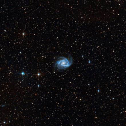 NGC 2997_百度百科
