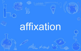 affixation_百度百科
