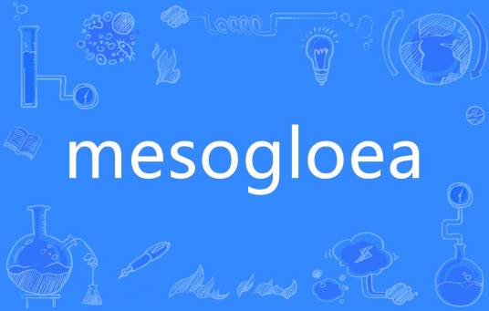 mesogloea_百度百科