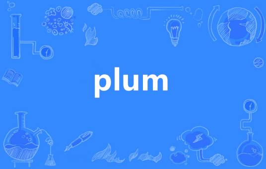 plum（英语单词）_百度百科